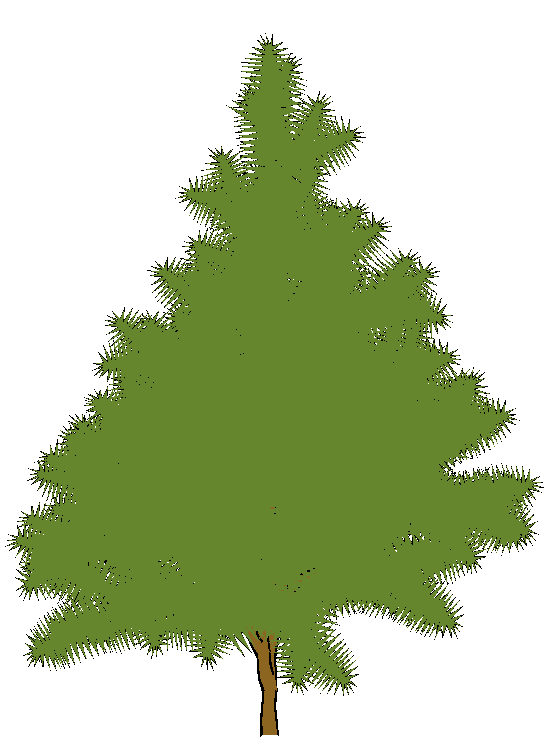 Rendering Artistic and Believable Trees for Cartoon Animation